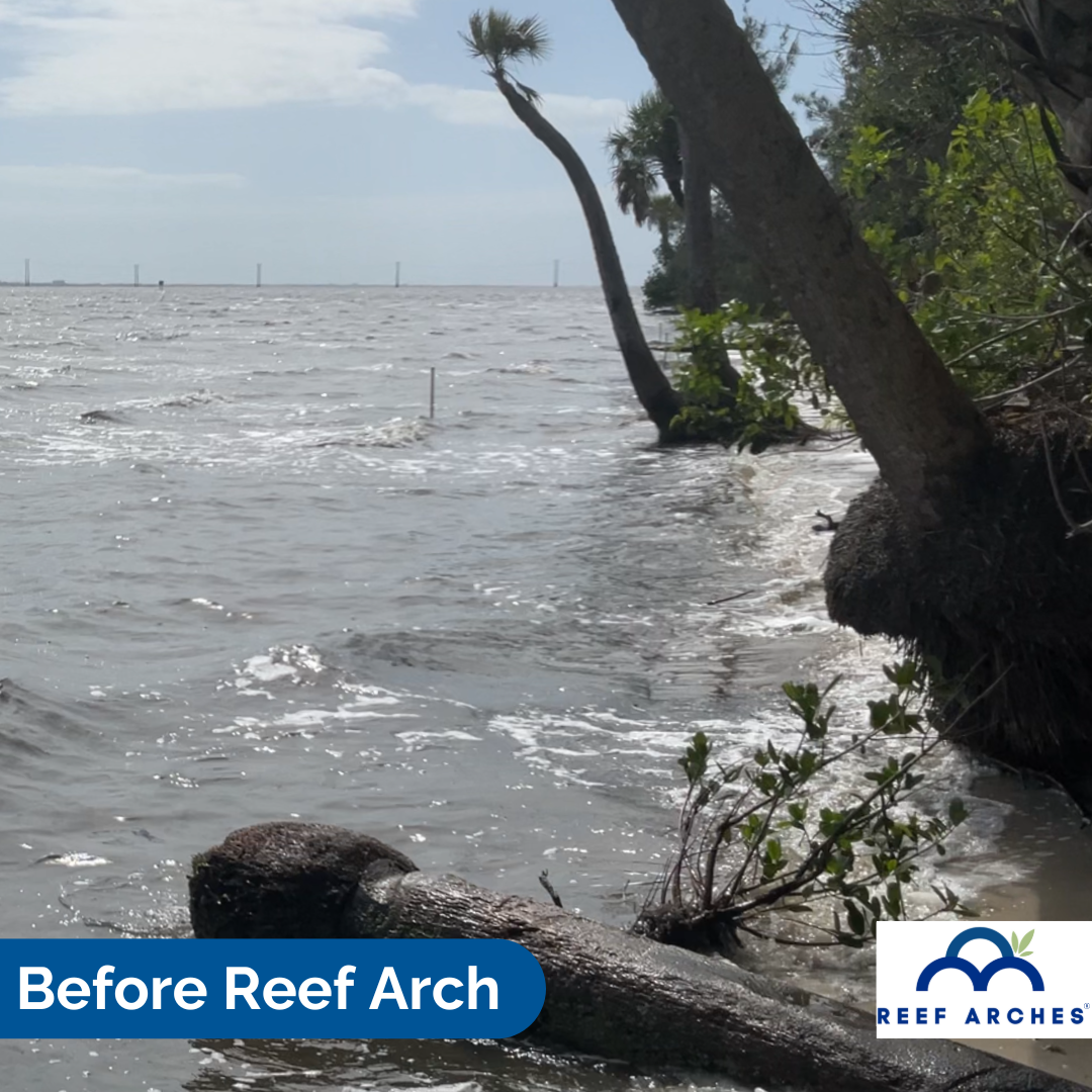 Innovative Coastal Protection & Restoration | Reef Arches